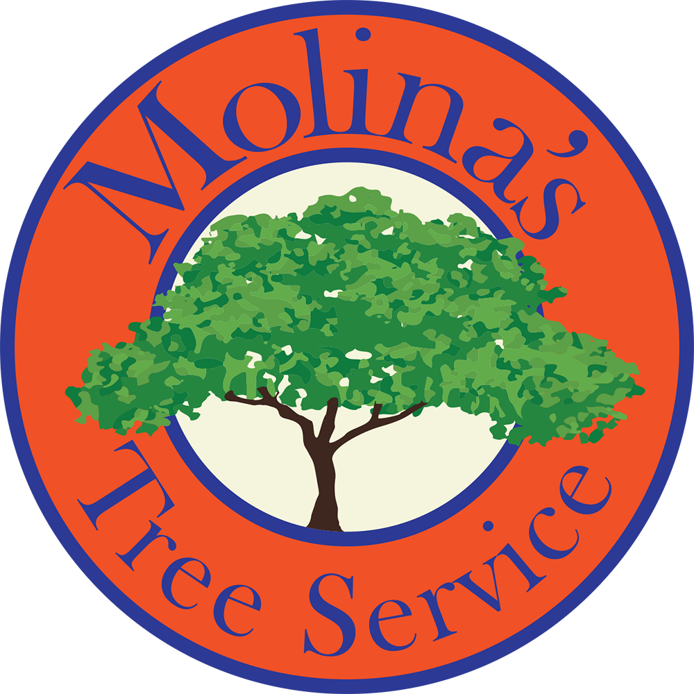 Molina's Tree Service